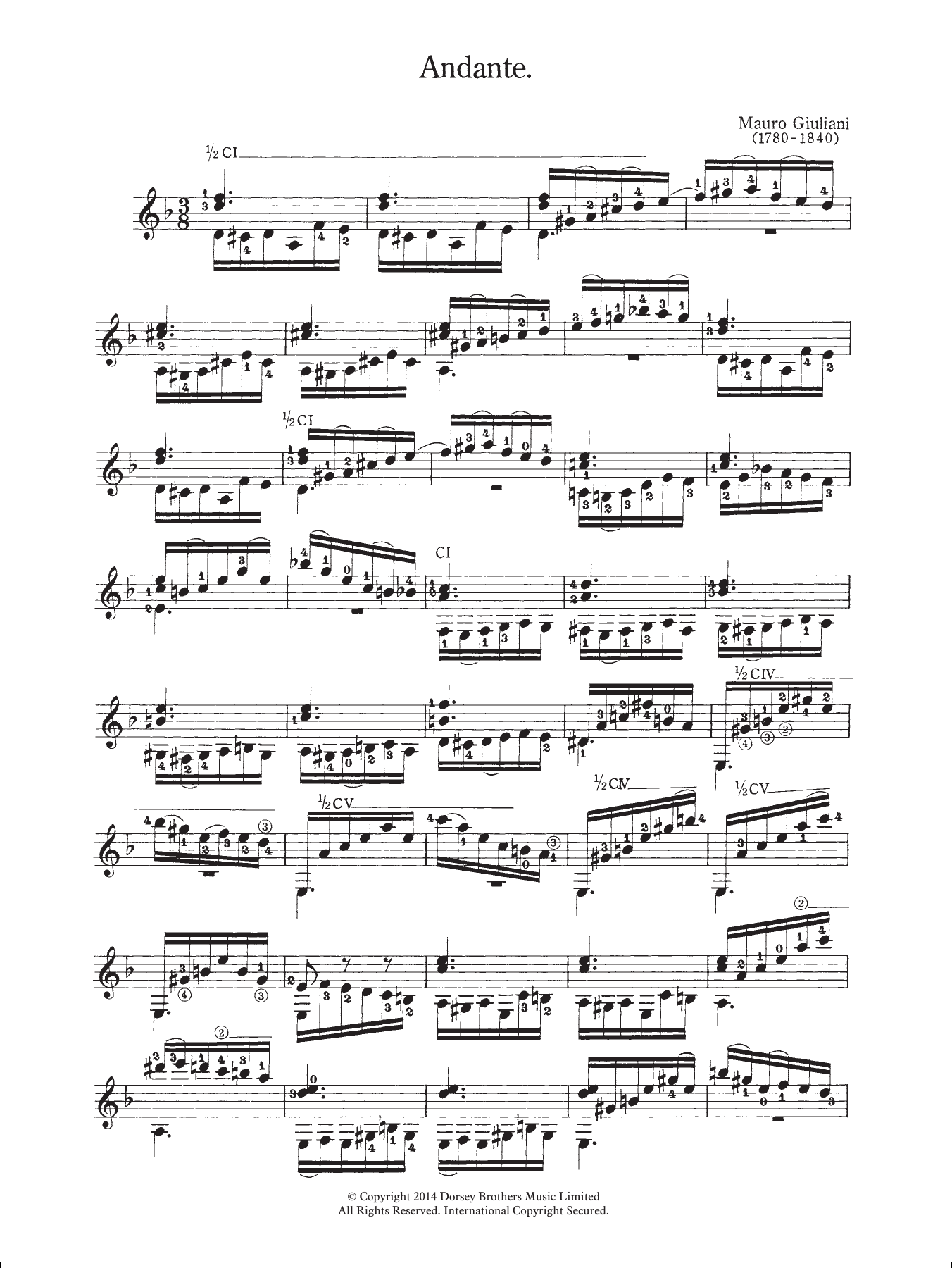 Mauro Giuliani "Andante" Sheet Music Notes | Download Printable PDF ...